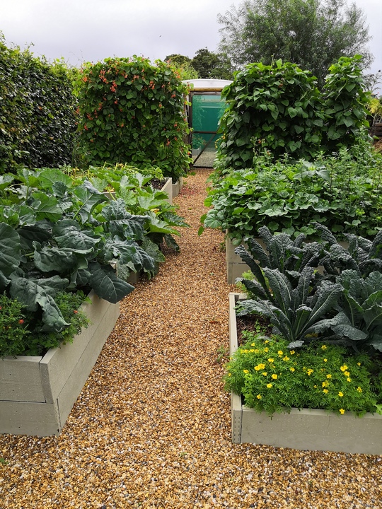 Mark Laurence Design | garden & landscape designer. Sussex, Surrey ...